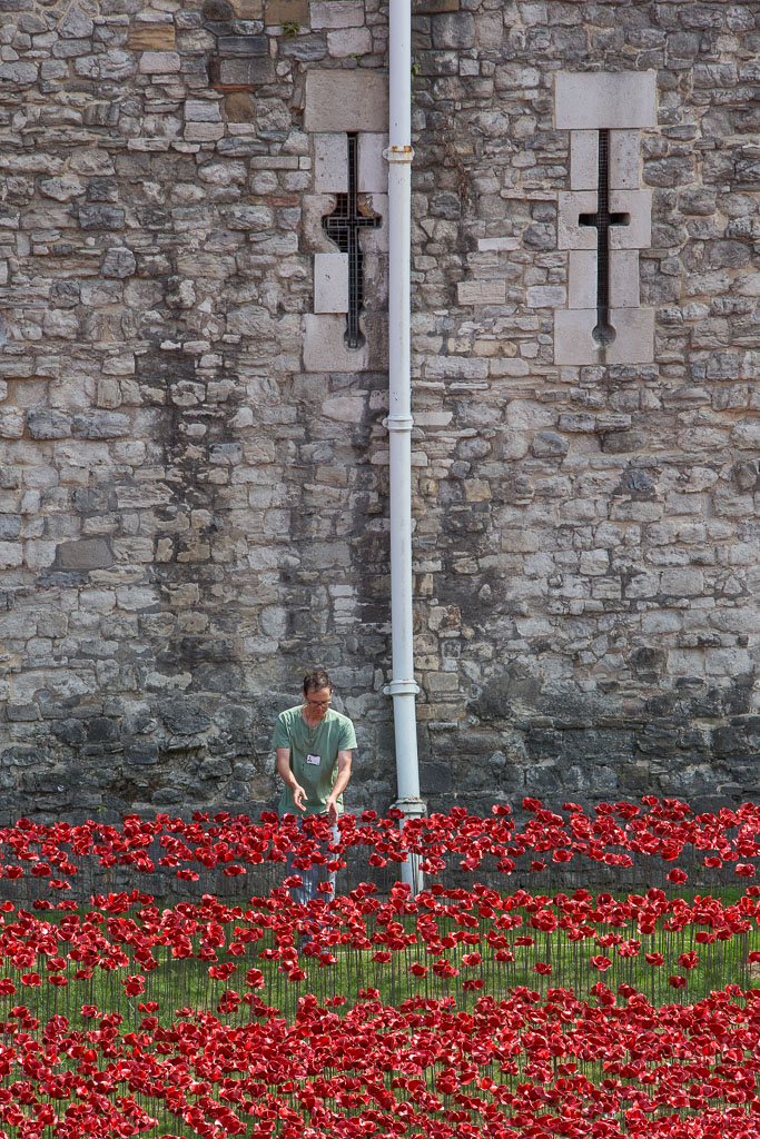 Tower of London Remembers - Neil Cordell Photography