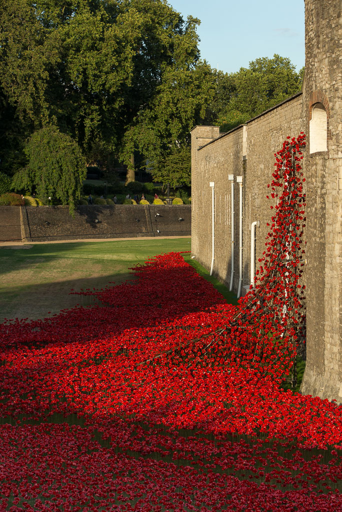 Tower of London Remembers - Neil Cordell Photography